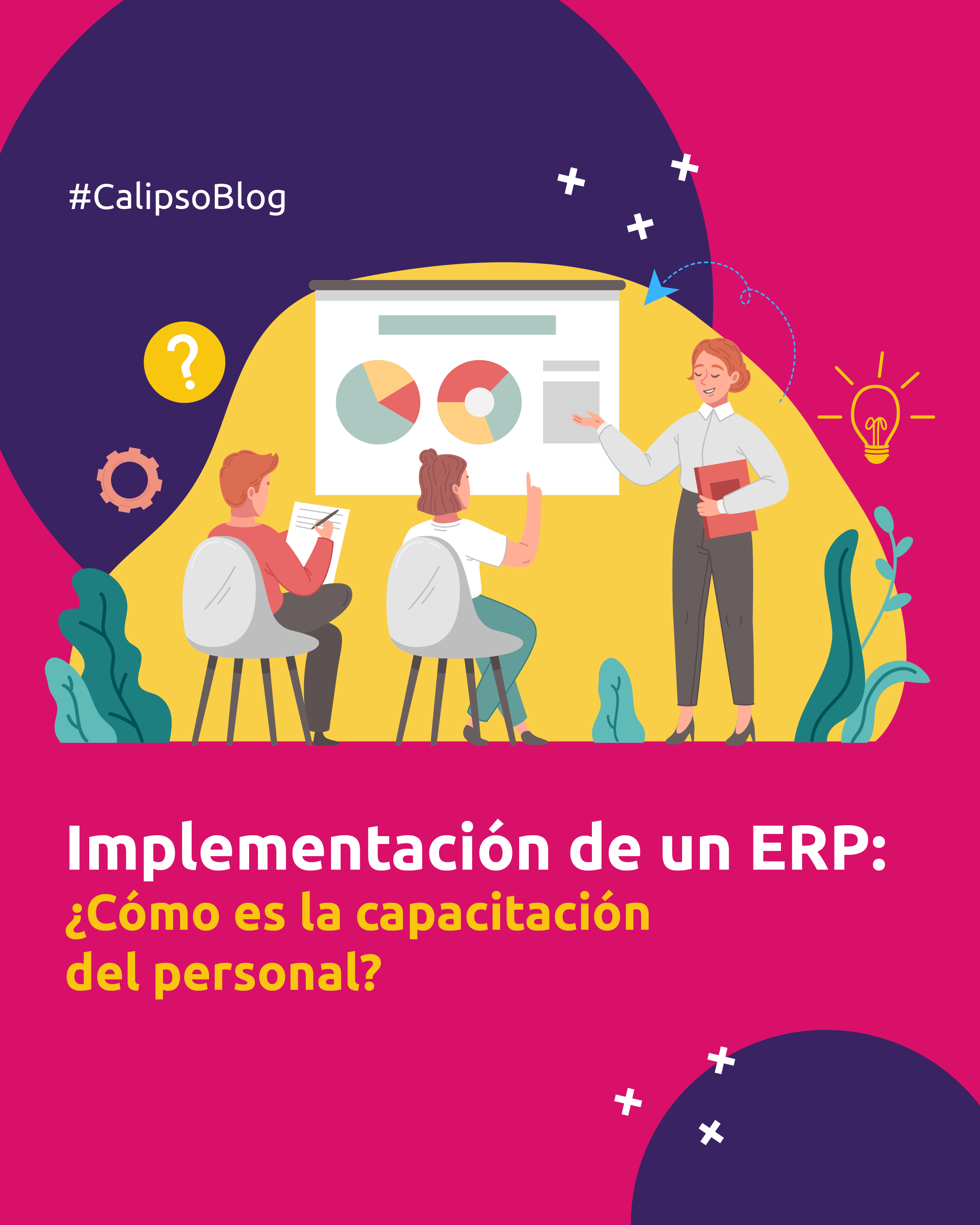 Calipso Blog: Implementación de un ERP: ¿Cómo es l... - Visma Community