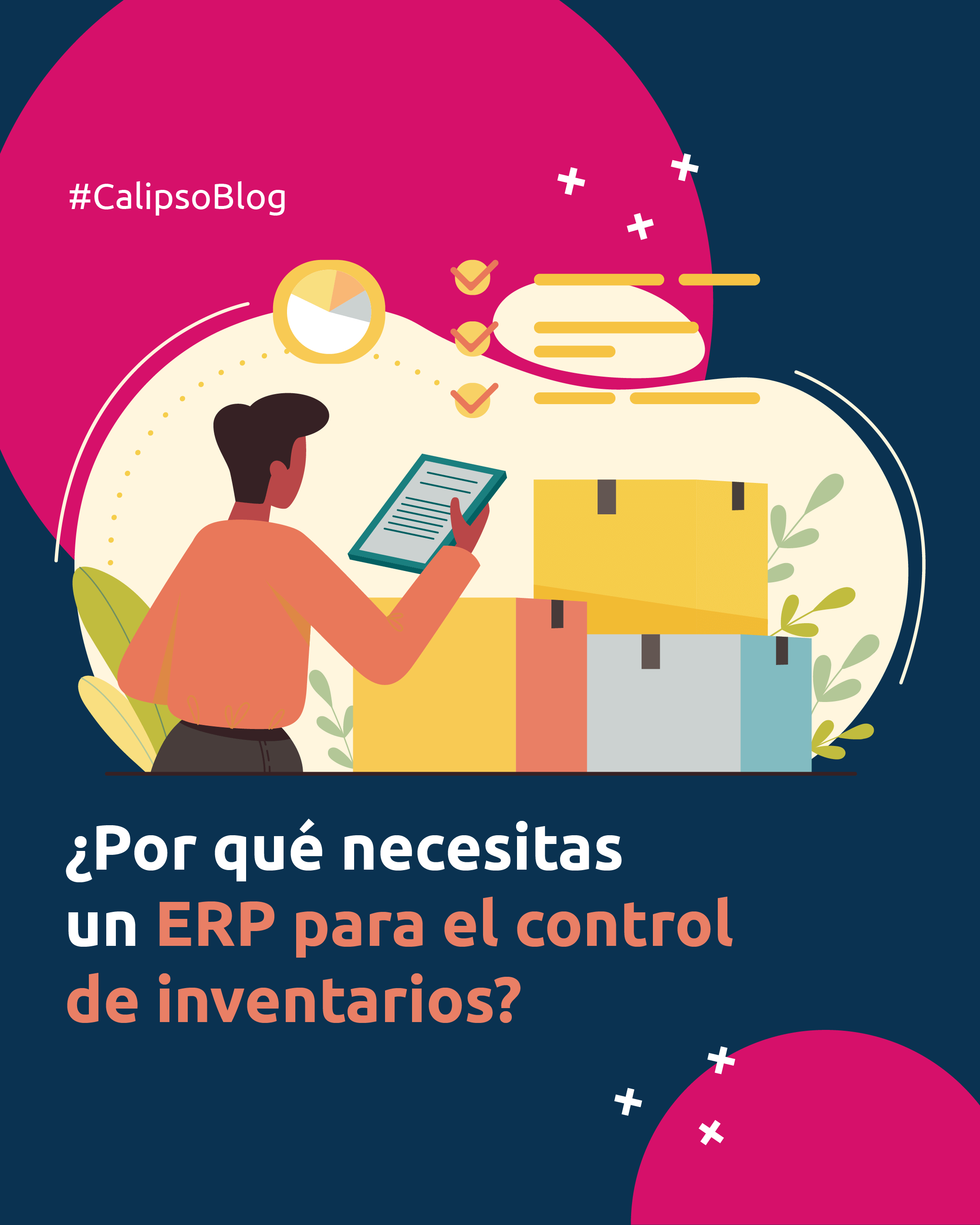 Calipso Blog: ¿Por qué necesitas un ERP para el co... - Visma Community